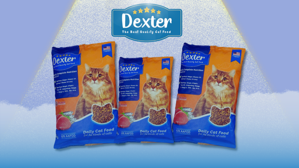 Cara Perawatan khusus kucing Ras