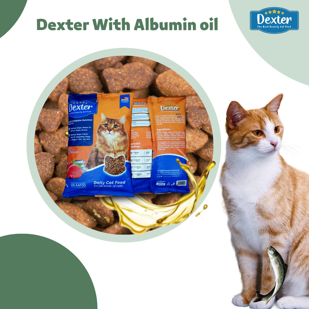 Manfaat Albumin oil untuk Kucing
