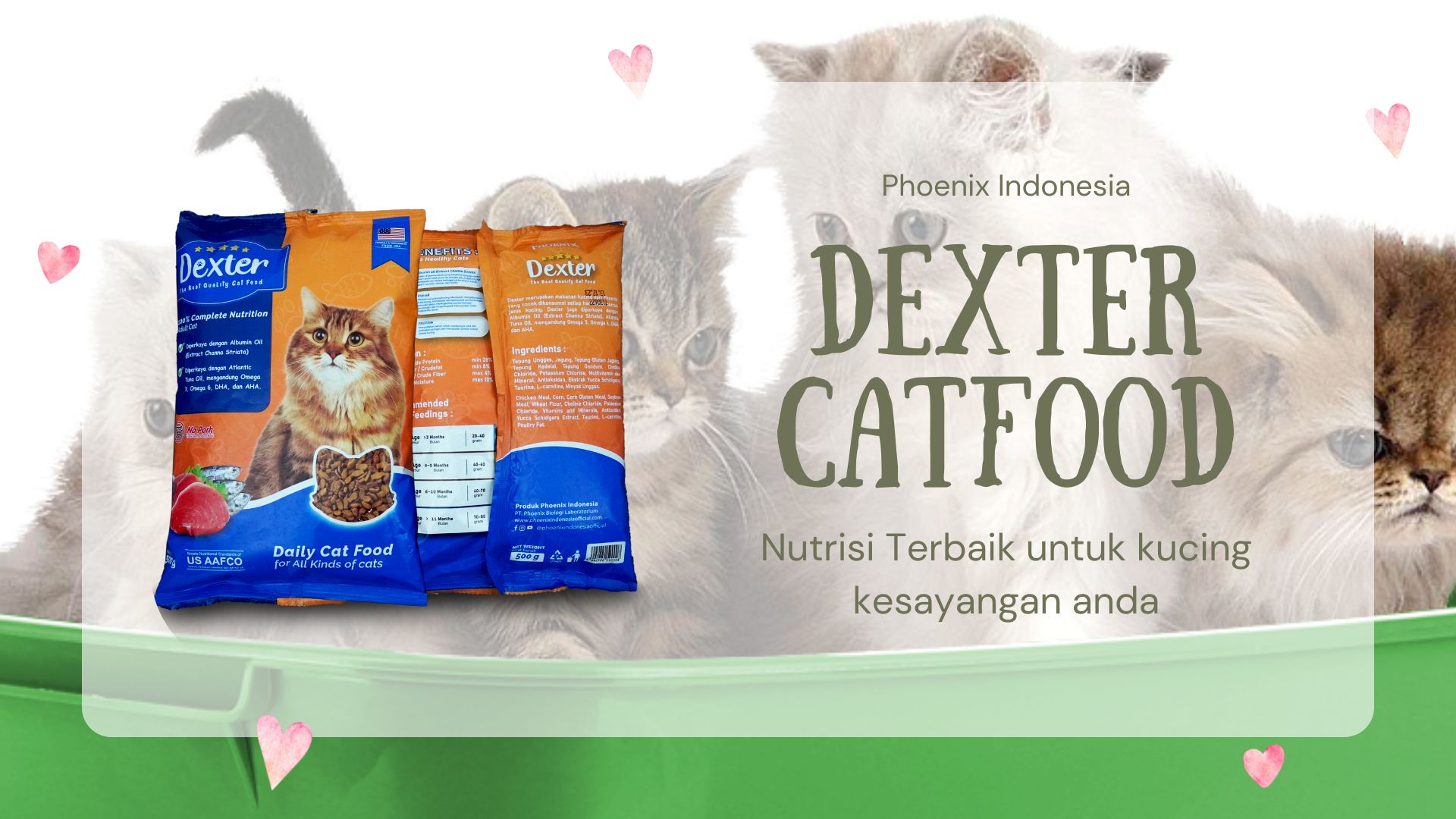 Makanan yang Berbahaya Untuk Kucing